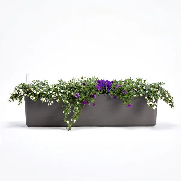 Samozavlažovací truhlík Berberis antracit/slonová kost 80 cm