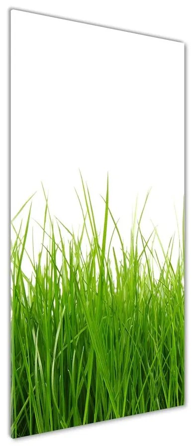 Wallmuralia Foto obraz sklo tvrzené Zelená tráva 50x125 cm