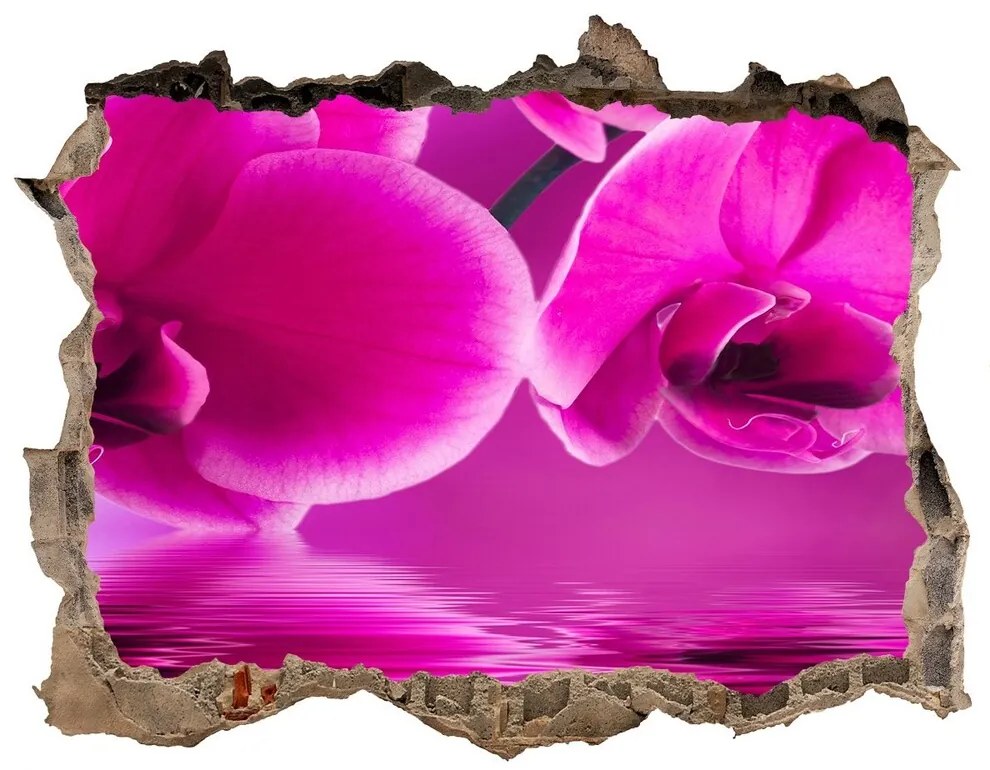 Wallmuralia Samolepící díra nálepka Orchidej 95x64 cm