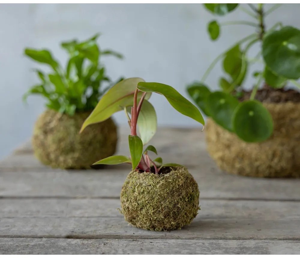Květináč ø 9 cm Kokedama – Esschert Design