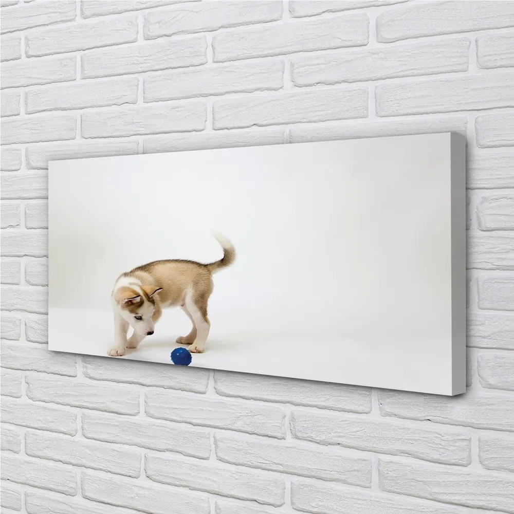 Obrazy na plátně Hrát s tím psem 125x50 cm