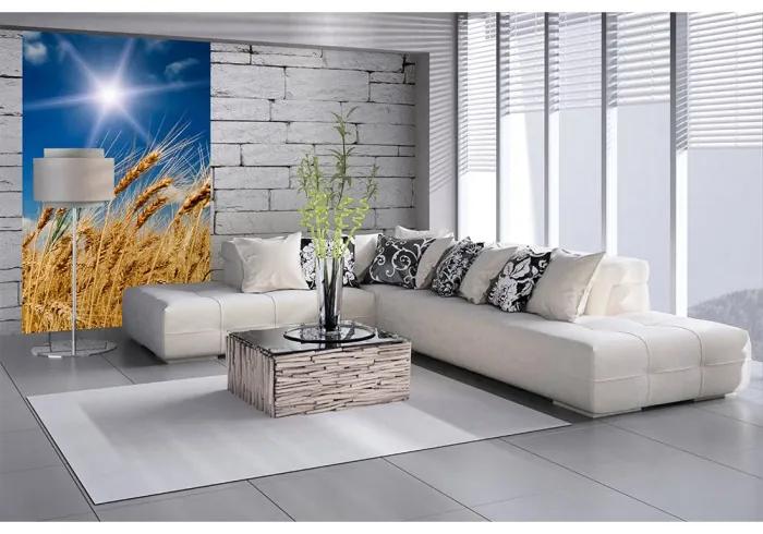 DIMEX | Vliesová fototapeta na zeď Pšeničné pole MS-2-0136  | 150 x 250 cm | modrá, bílá, béžová