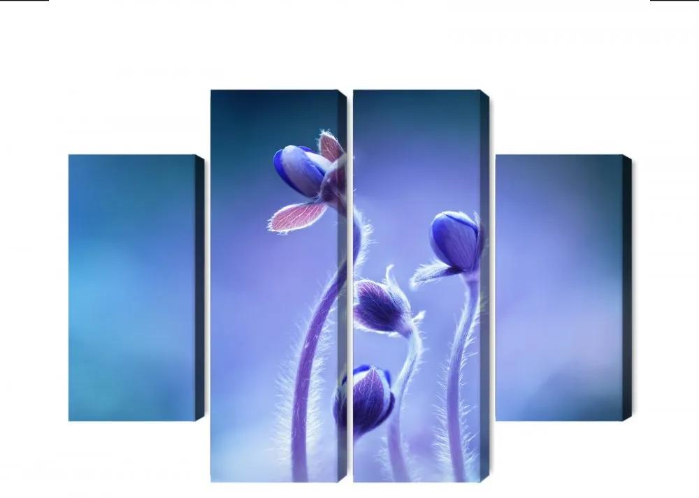 Vícedílný obraz Jemné Květiny V Makro Měřítku Nedostatek Nedostatek Přírodní plátno 120x90