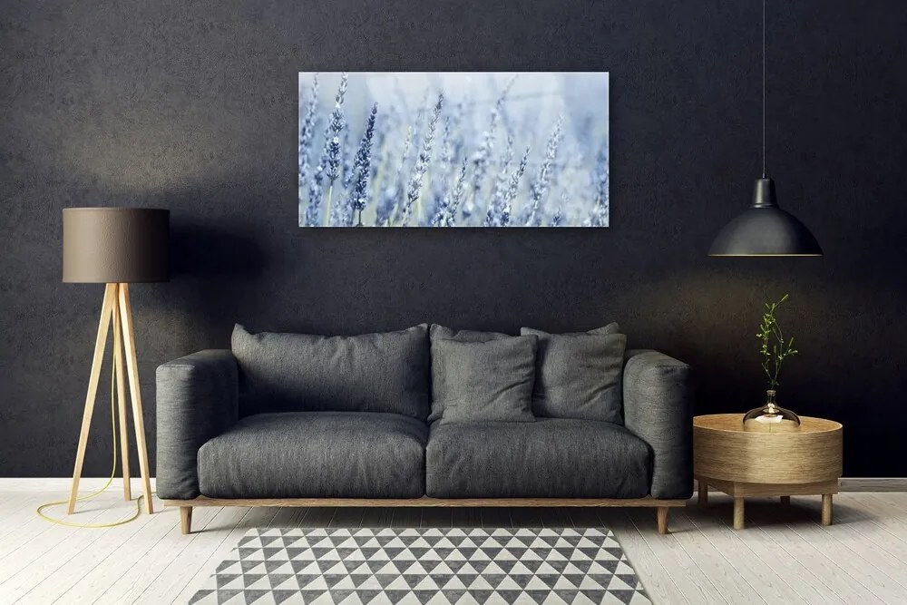 Obraz na skle Květiny Klasy Louka Příroda 125x50 cm