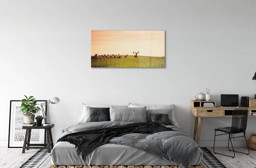 Obraz na skle Stádo jelenů pole svítání 100x50 cm