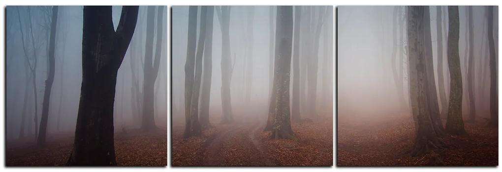 Obraz na plátně - Mlha v lese - panoráma 5182B (120x40 cm)