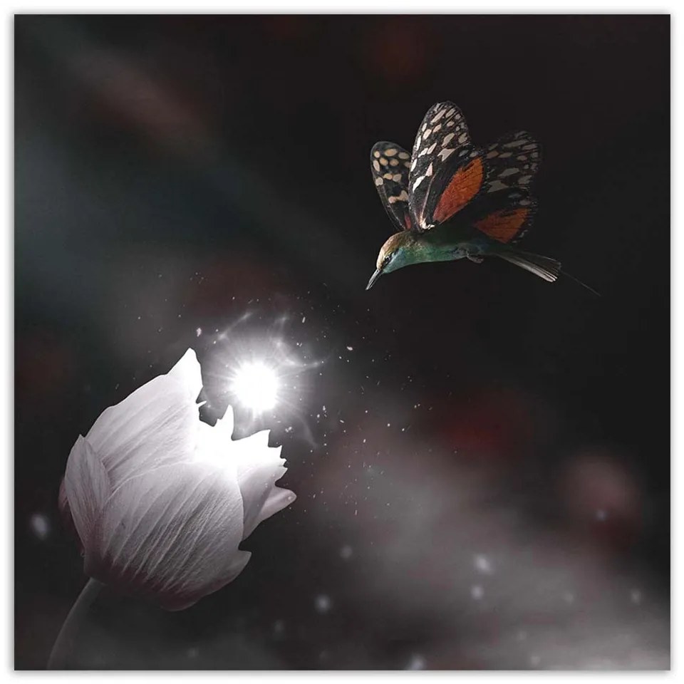 Gario Obraz na plátně Kolibřík a kouzelná květina - Zehem Chong Rozměry: 30 x 30 cm