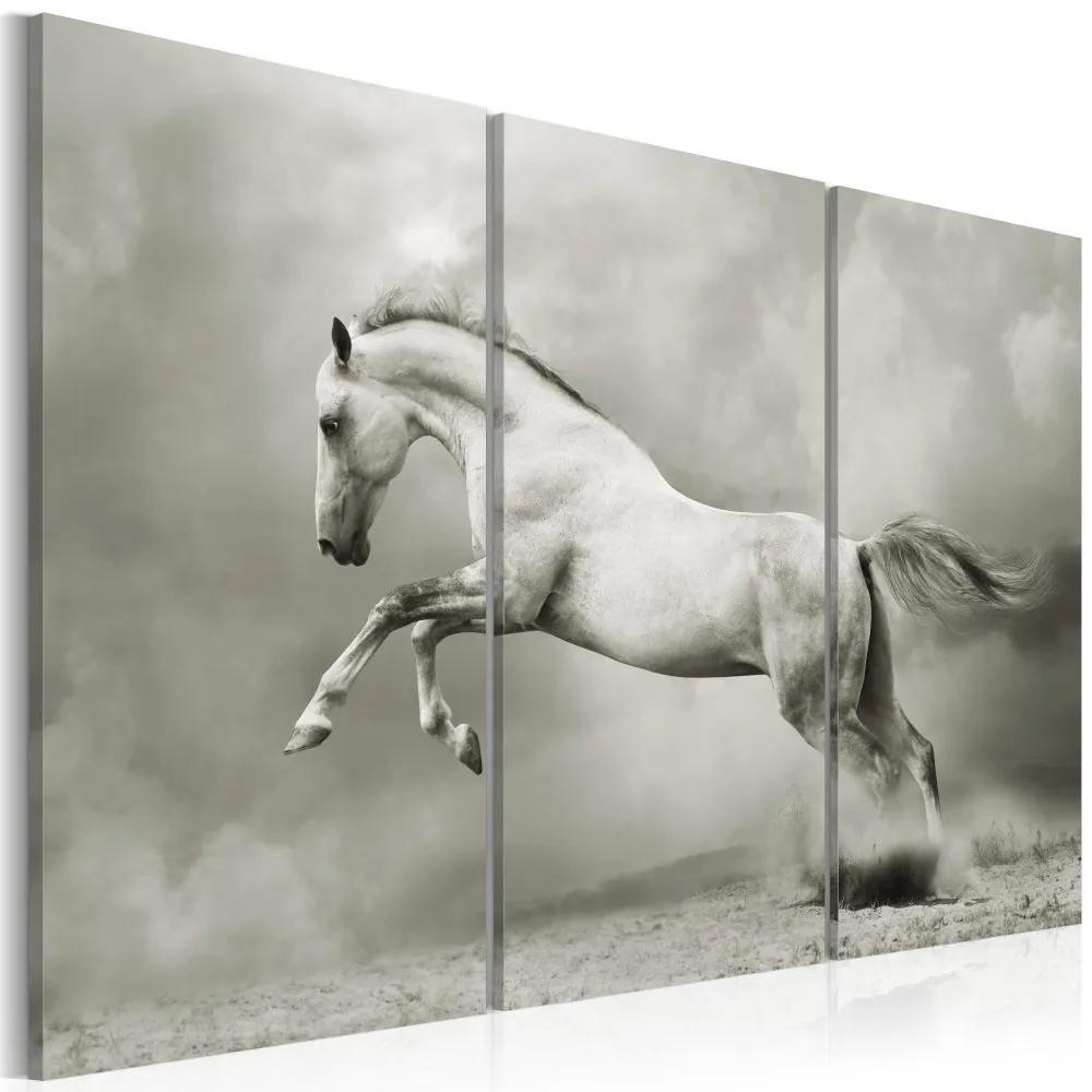 Obraz na plátně Bimago - Bílý kůň v pohybu 60x40 cm