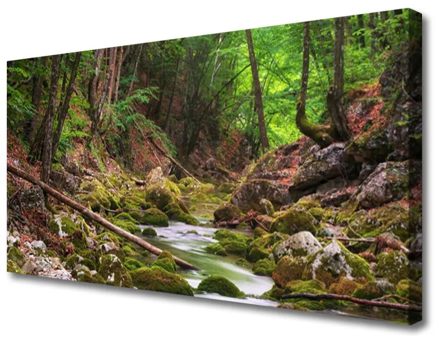 Obraz na plátně Les Mech Příroda 100x50 cm
