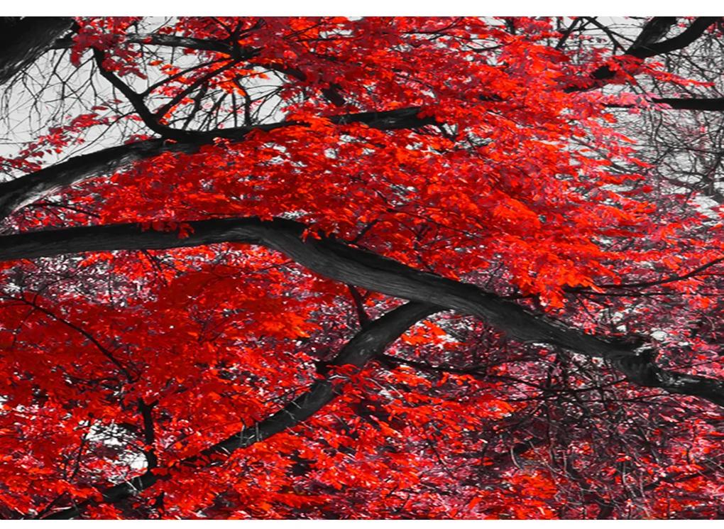 Pětidílný obraz červená krajina II + háčky, hřebíčky ZDARMA Velikost (šířka x výška): 125x50 cm