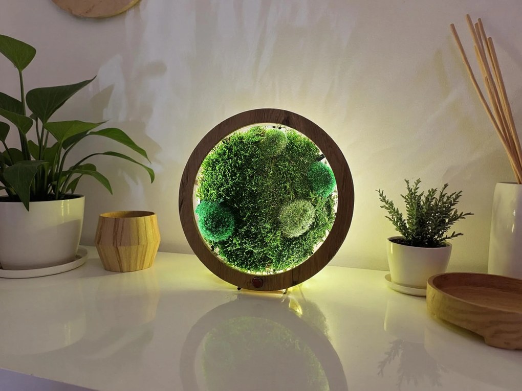 Li-Go "Mechové kopečky" dřevěná lampa/obraz 31 cm/s baterií a pohybovým čidlem provedení povrchu: ořech