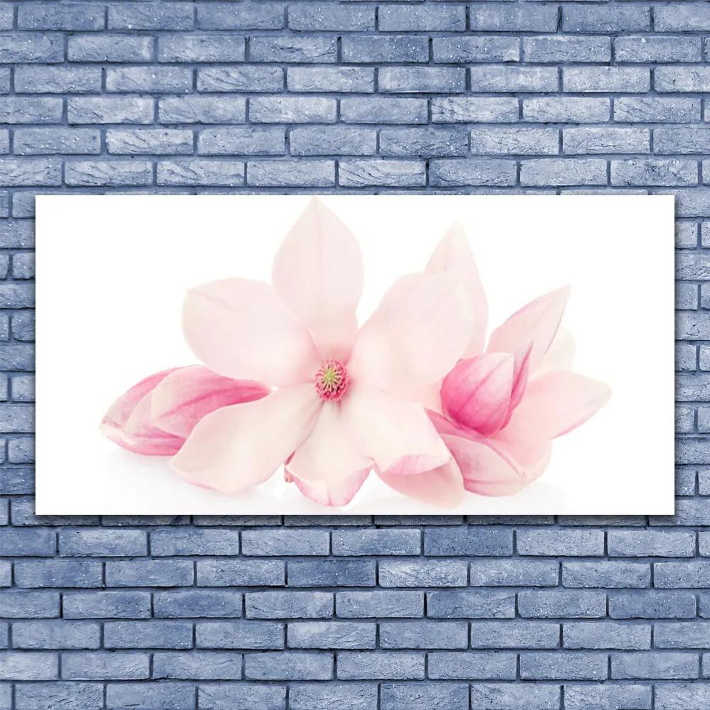 Plexisklo-obraz Květiny Plátky Rostlina Příroda 120x60 cm