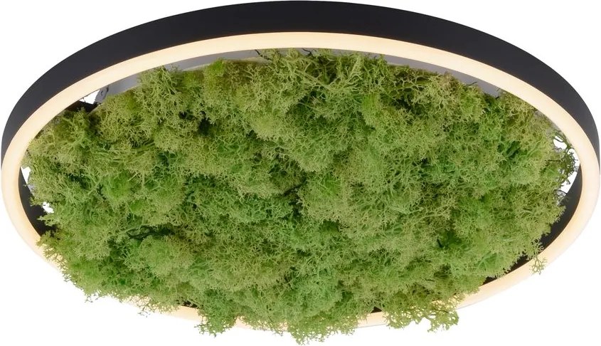 GREEN RITUS LED stropní svítidlo, 630 lm, 20 W