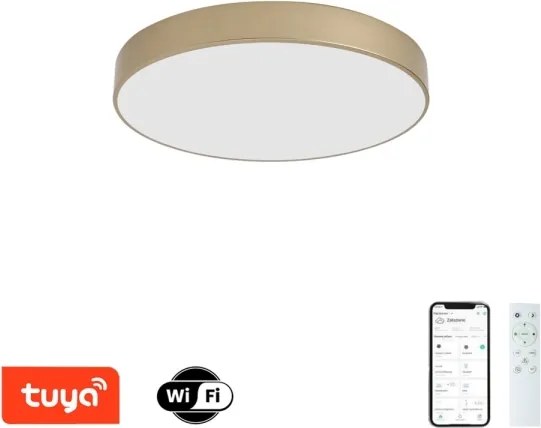 BRILAGI-LED Stmív. svítidlo POOL SMART LED/60W/230V 50 cm Wi-Fi Tuya zlatá + DO