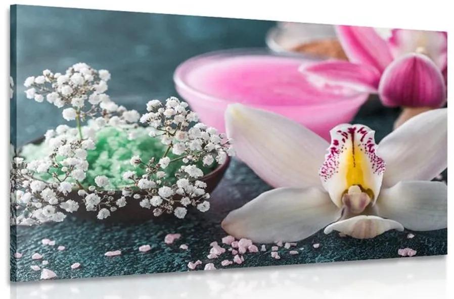 Obraz nádherná detailní orchidej Varianta: 120x80