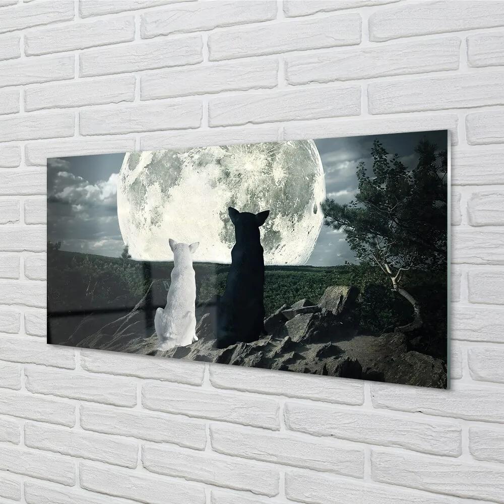 Obraz na skle Wolves měsíc lesní 120x60 cm