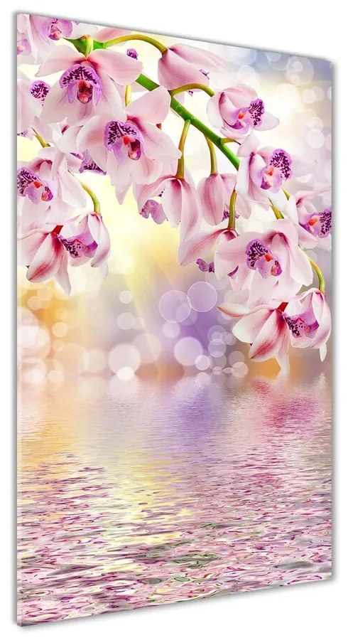 Wallmuralia Foto obraz akrylový na stěnu Orchidej 60x120 cm