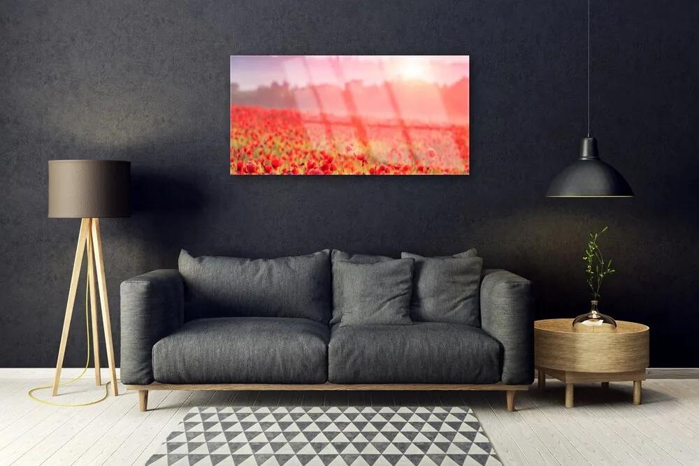 akrylový obraz Louka Květiny Příroda 100x50 cm
