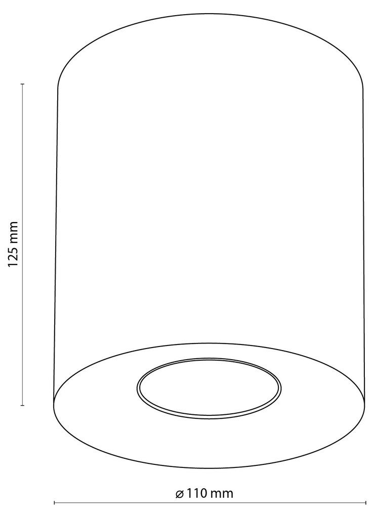 Stropní svítidlo TK 3239 ORION černá