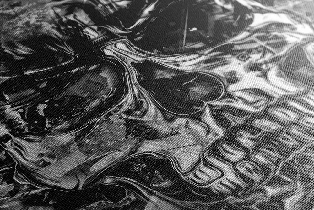 Obraz umělecká lebka v černobílém provedení Varianta: 120x80