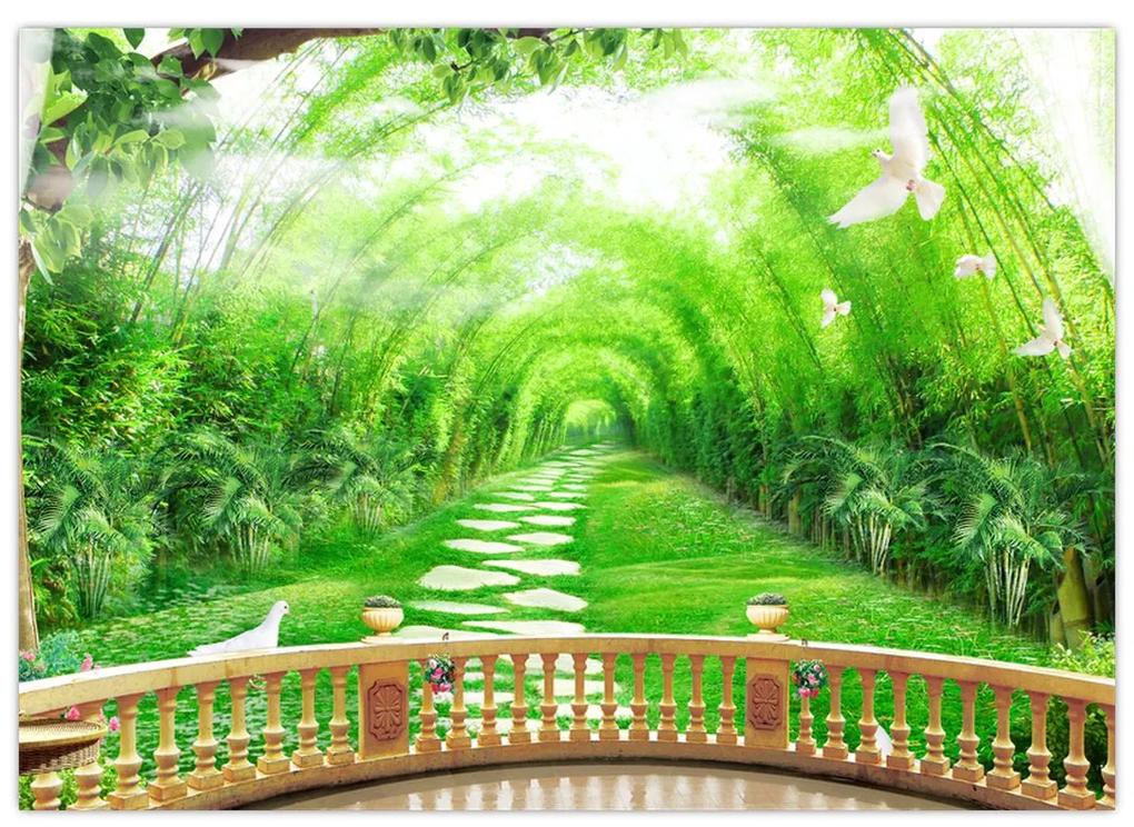 Skleněný obraz - Výhled na tropickou zahradu (70x50 cm)