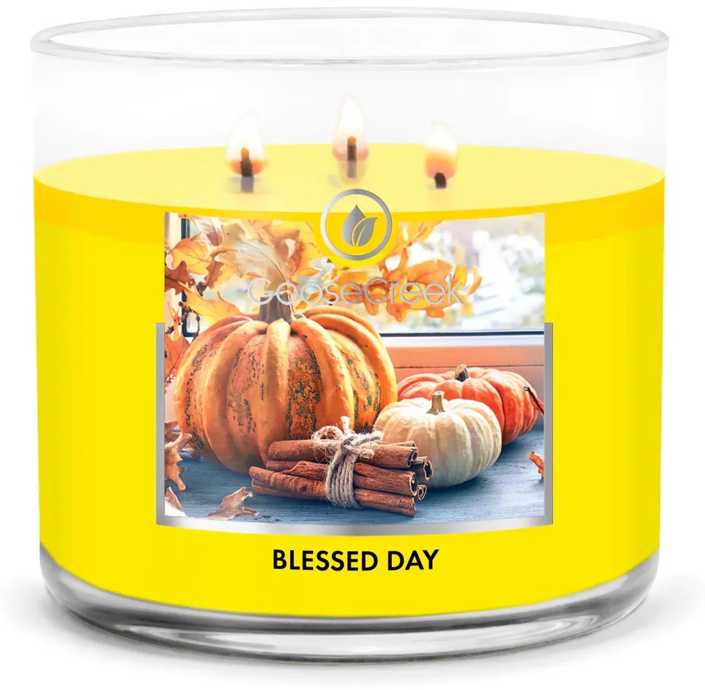 Goose Creek Candle svíčka Blessed Day, 411 g