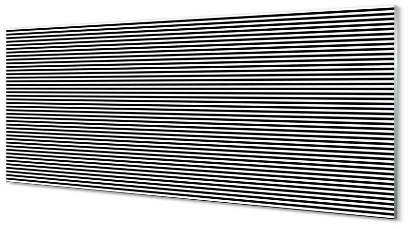 akrylový obraz zebra pruhy 120x60 cm