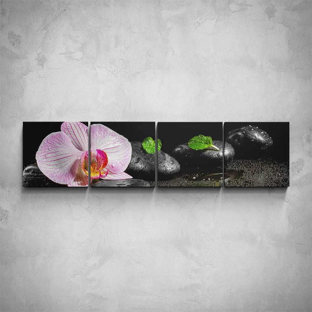 4-dílný obraz - Růžová orchidej - PopyDesign