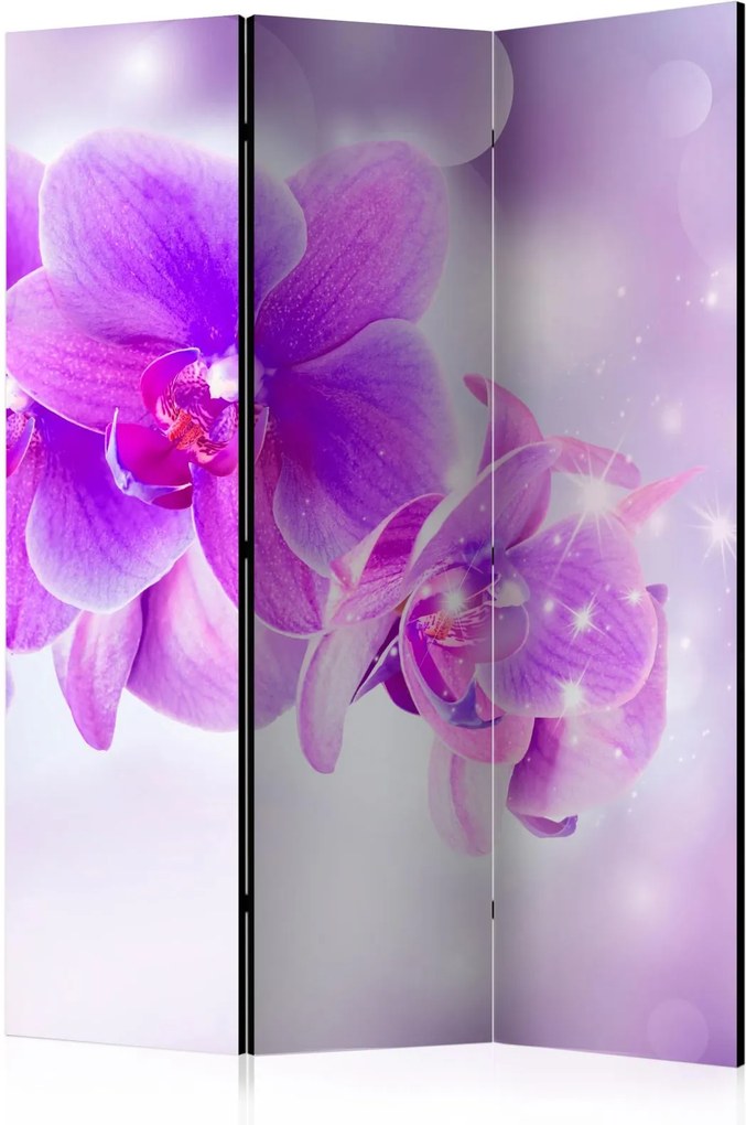 Paraván - Purple Orchids [Room Dividers] 135x172