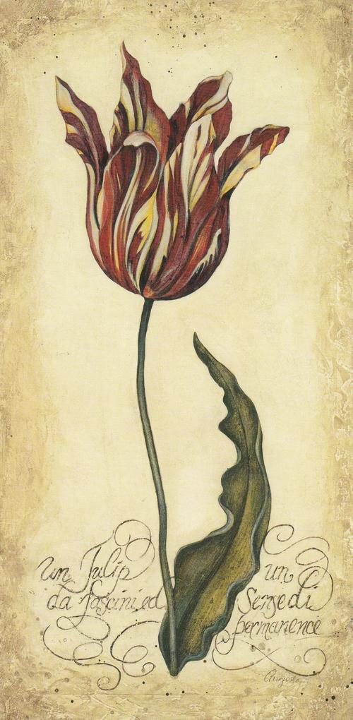 ART-STYLE Obrázek 13x25, žíhaný tulipán II., rám sv. dub - červotoč