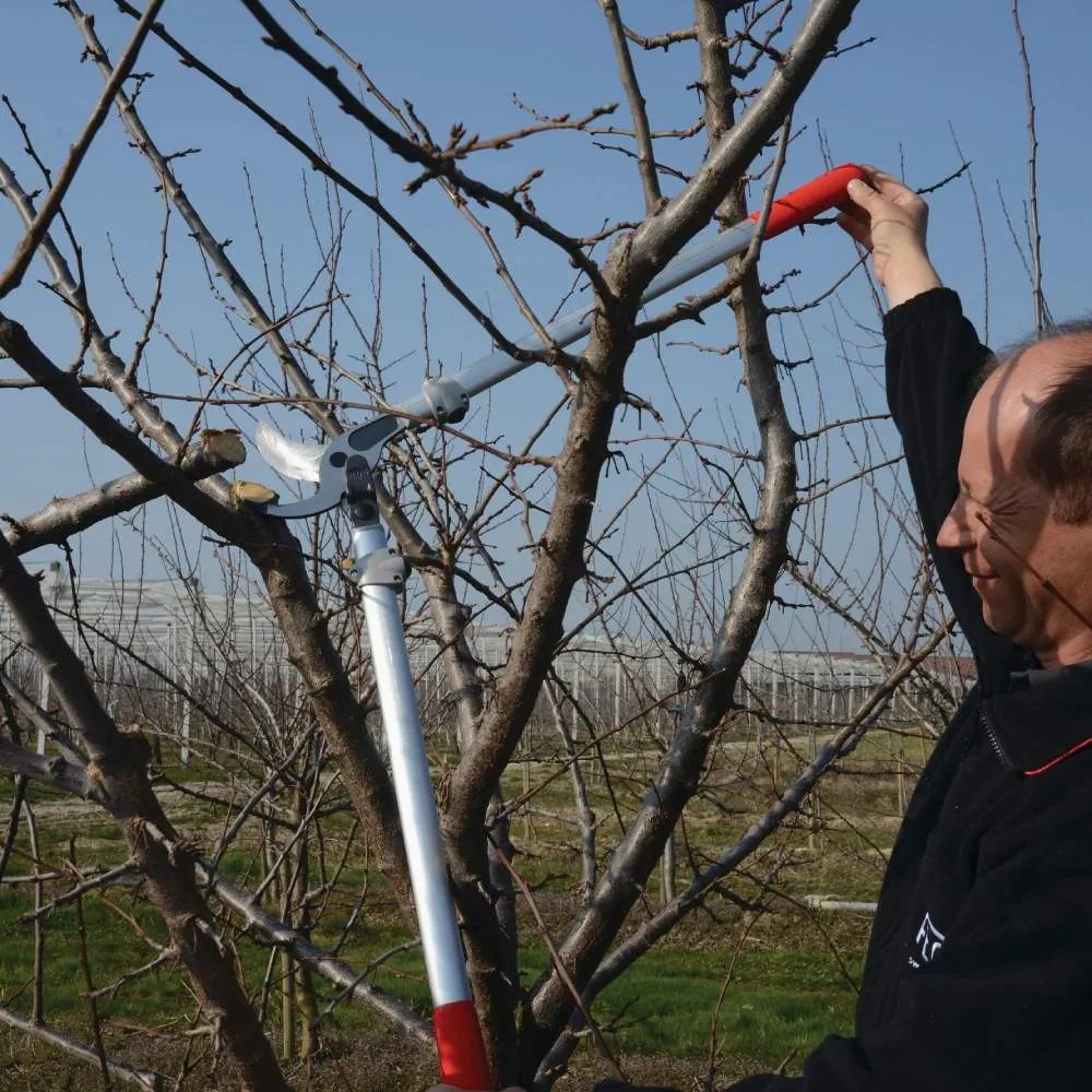 Obouruční nůžky na větve FELCO 220