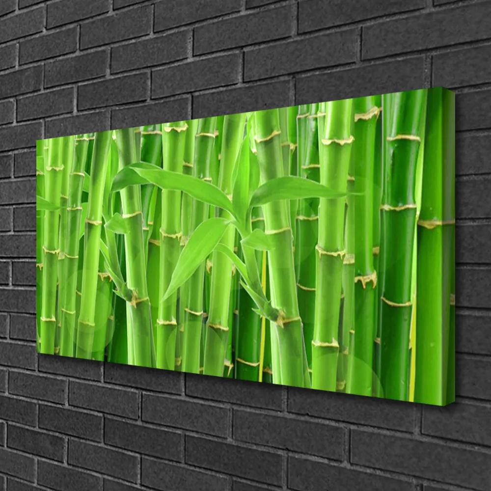 Obraz na plátně Bambus Stonek Květ Rostlina 120x60 cm