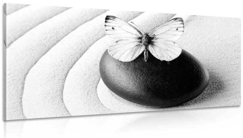 Obraz Zen kámen s motýlem v černobílém provedení