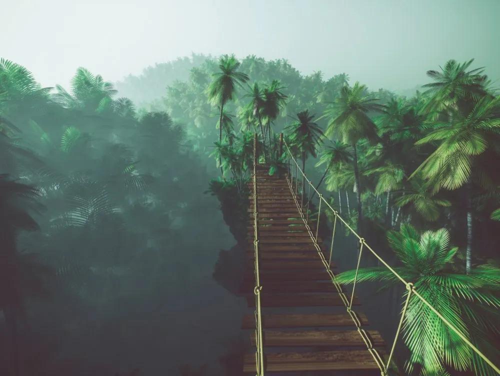 Vícedílný obraz Lanový Most V Džungli 3D Nedostatek Nedostatek Přírodní plátno 120x90