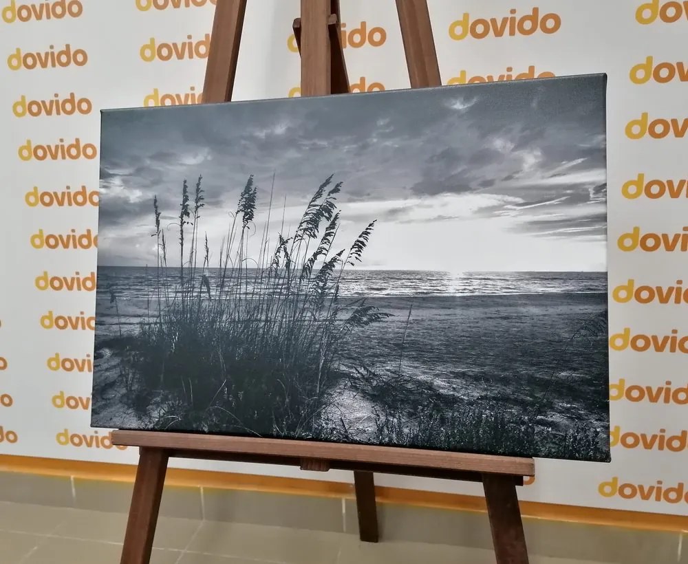 Obraz západ slunce na pláži v černobílém provedení