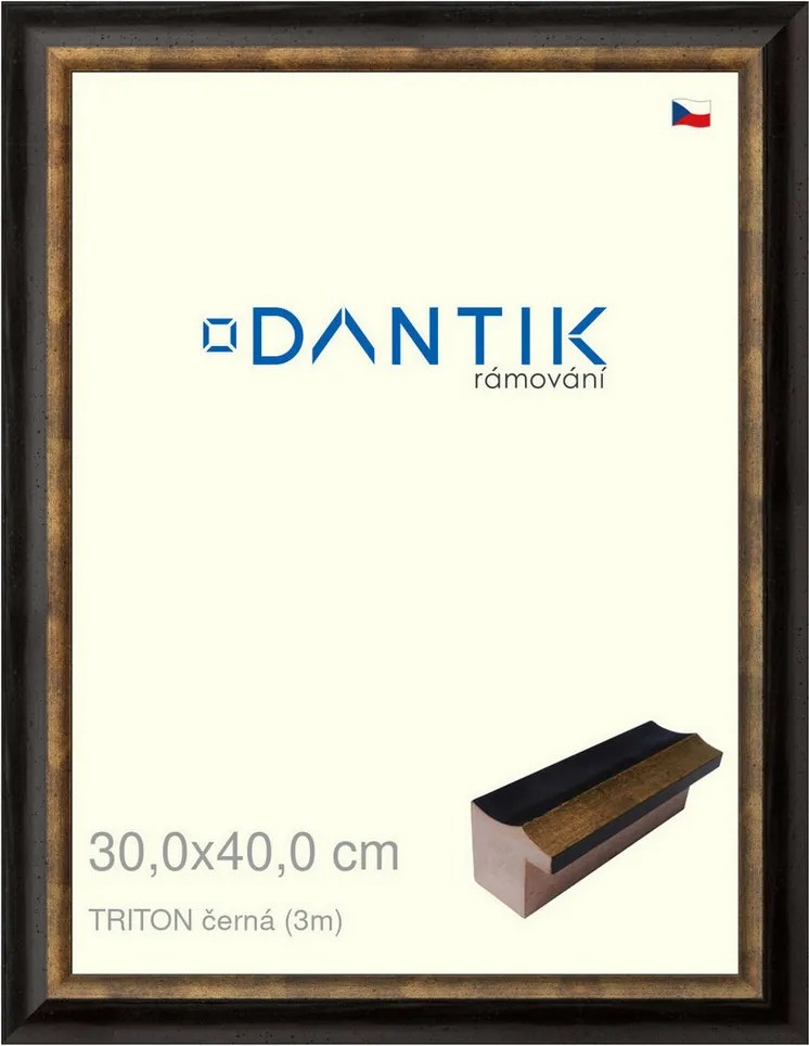 DANTIK rámeček 30x40 | TRITON černá (Plexi Čiré)