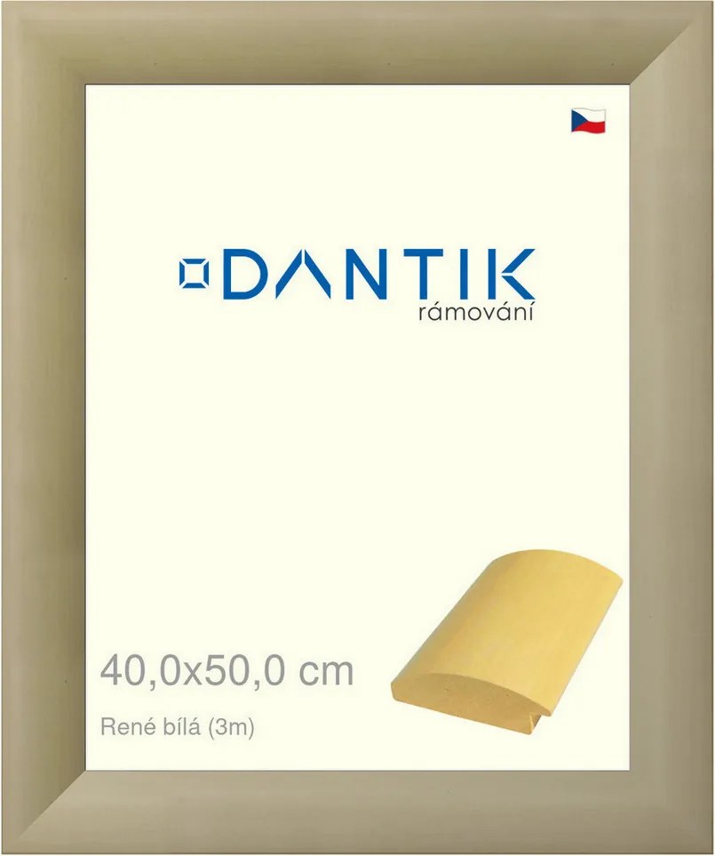 DANTIK rámeček 40x50 | René bílá (Plexi Čiré)