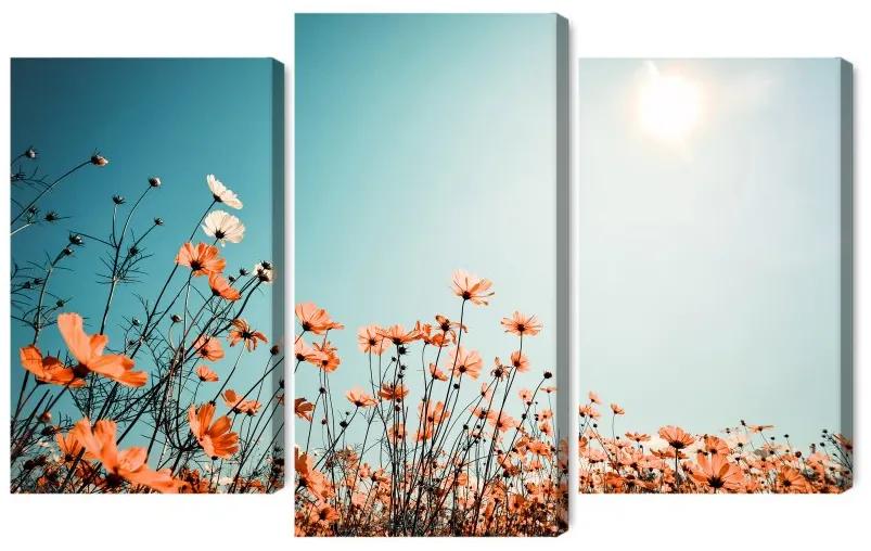 Vícedílný obraz Polní Květiny Na Slunci Nedostatek Nedostatek Přírodní plátno 180x120