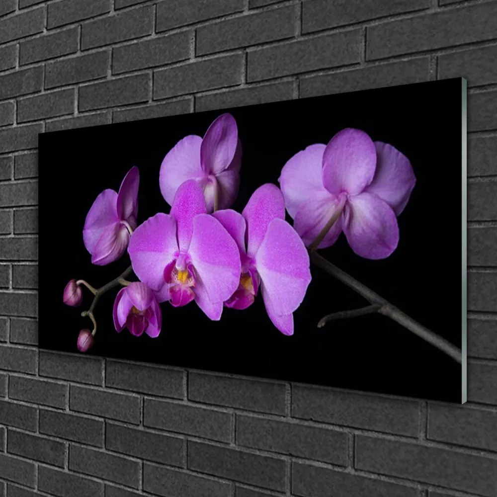 Obraz na skle Vstavač Orchidej Květiny 125x50 cm