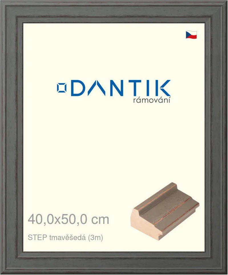 DANTIK rámeček 40x50 | STEP tmavěšedá (Sklo Čiré)