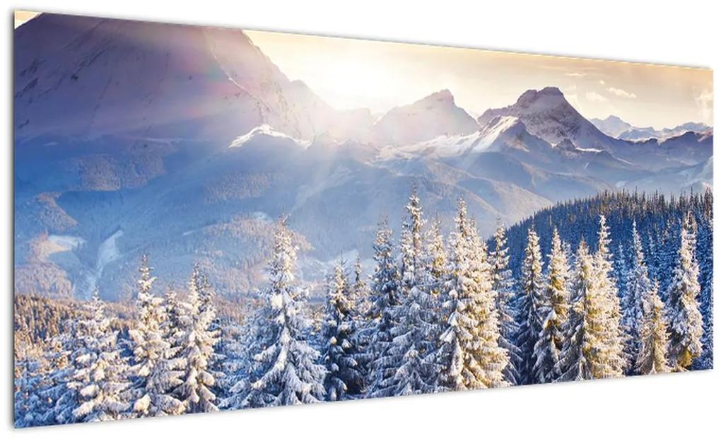 Fotka zimní krajiny - obraz (100x40cm)