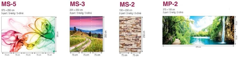 MP-2-0109 Vliesová obrazová panoramatická fototapeta Sakura, velikost 375 x 150 cm
