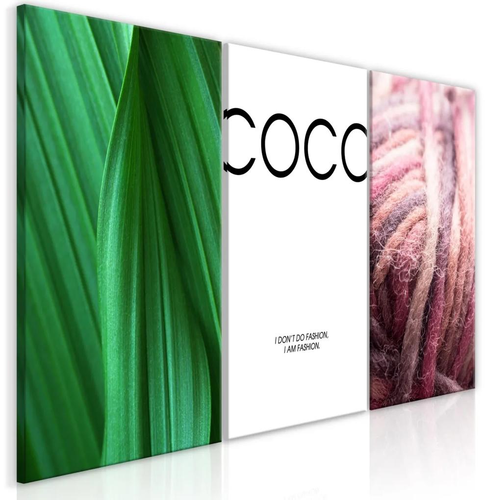 Obraz - Coco (Collection)