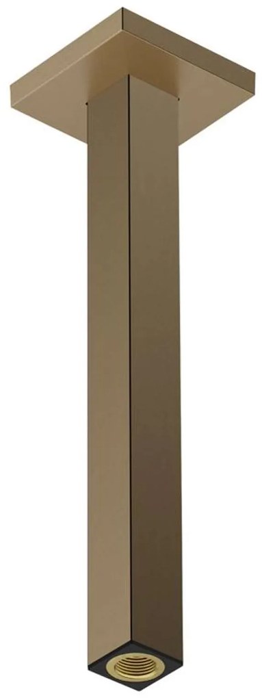 Hansgrohe - Sprchové rameno stropní, 31 cm, kartáčovaný bronz 24339140