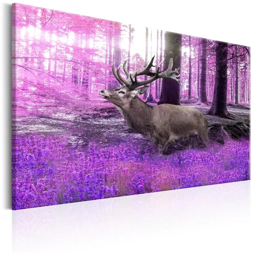 Murando DeLuxe Jelen ve fialovém lese  105x70 cm