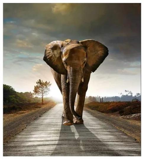 DIMEX | Vliesová fototapeta na zeď Kráčející slon MS-3-0225 | 225 x 250 cm | šedá, béžová, zelená, modrá