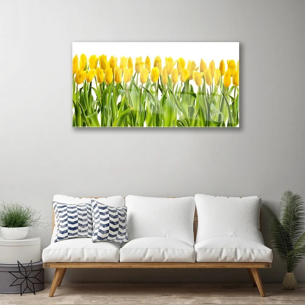 Obraz na skle Tulipány Květiny Příroda 100x50 cm