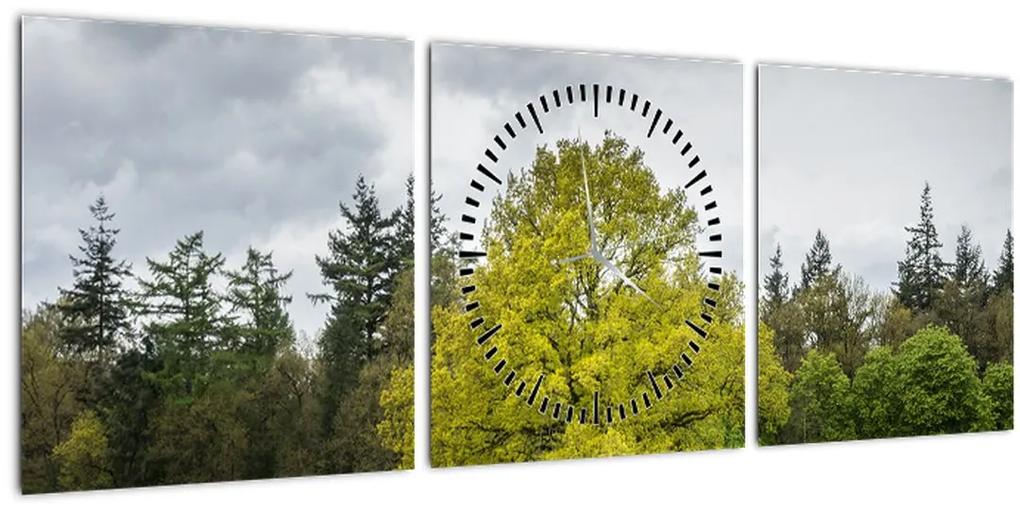Obraz zeleného stromu uprostřed pole (s hodinami) (90x30 cm)
