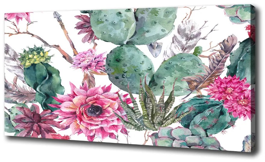 Wallmuralia Foto obraz na plátně do obýváku Kaktusy 100x50