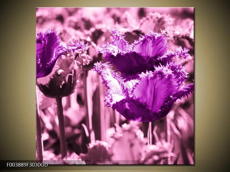 Obraz fialových a růžových květů  (), 40 dalších rozměrů